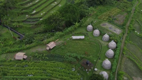 Thatched Yurt Glamping Pods Campsite ami... | Stock Video | Pond5