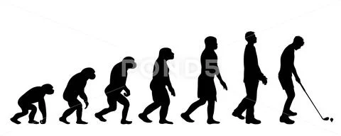 Theory of evolution of man. Vector silhouette of homo sapiens. Symbol ...