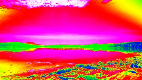 Man Sport Running Stock Videos – Royalty-Free HD & 4K Videos | Pond5