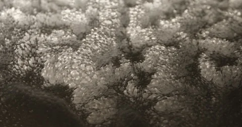 Thermocol texture | Stock Video | Pond5