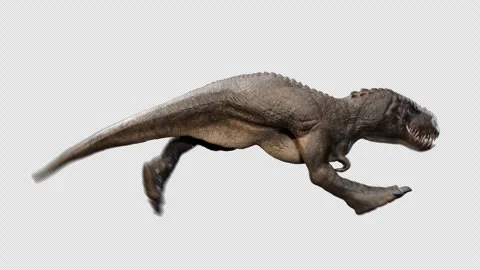T Rex Running Stock Footage ~ Royalty Free Stock Videos | Pond5