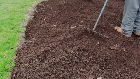 They are leveled with a rake mulch, mulc... | Stock Video | Pond5