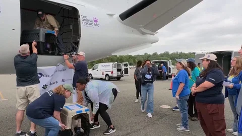 Second Chance St Stock Videos – Royalty-Free HD & 4K Videos | Pond5