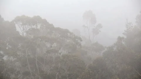 Drifting Fog Stock Videos – Royalty-Free HD & 4K Videos