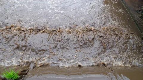 Sludge Treatment Stock Videos – Royalty-Free HD & 4K Videos