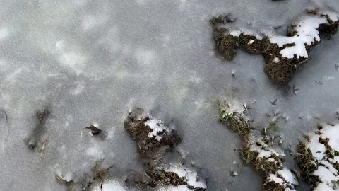 Thin ice crack under my foot | Stock Video | Pond5