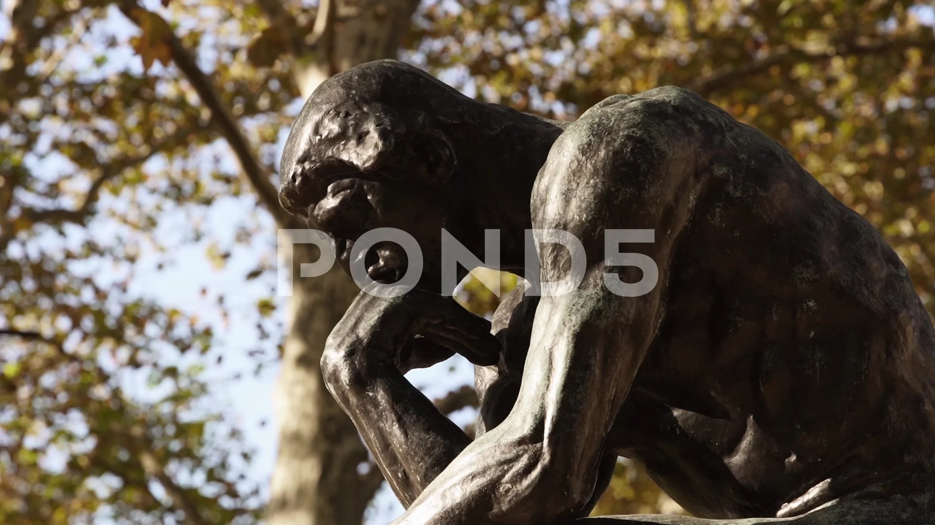 Thinking Man Statue Wallpaper