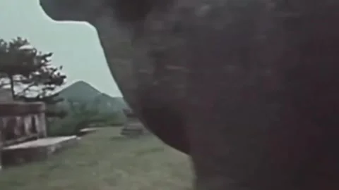 Dprk Stock Videos – Royalty-Free HD & 4K Videos | Pond5