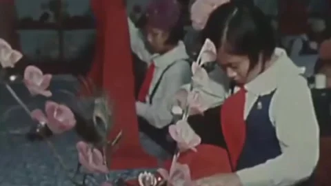 38 Parallel Stock Videos – Royalty-Free HD & 4K Videos | Pond5