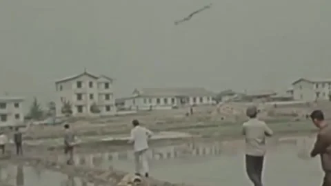 38 Parallel Stock Videos – Royalty-Free HD & 4K Videos | Pond5