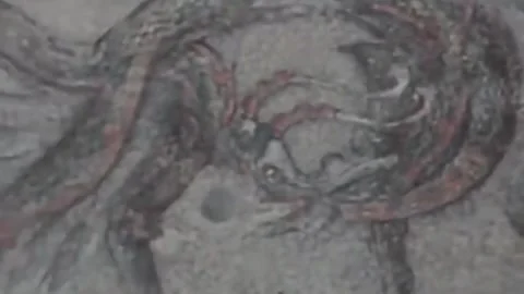 38 Parallel Stock Videos – Royalty-Free HD & 4K Videos | Pond5