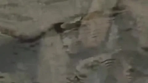 38 Parallel Stock Videos – Royalty-Free HD & 4K Videos | Pond5