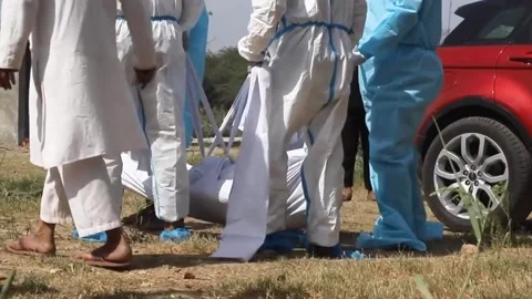 19 5= Stock Videos – Royalty-Free HD & 4K Videos