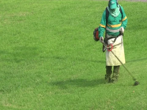 Who Is Work Stock Videos – Royalty-Free HD & 4K Videos | Pond5