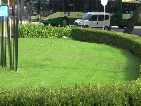 Who Is Work Stock Videos – Royalty-Free HD & 4K Videos | Pond5