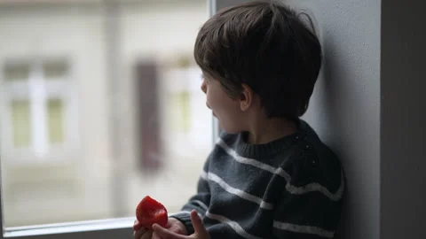 Silhouette Strawberry Stock Videos – Royalty-Free HD & 4K Videos | Page 2