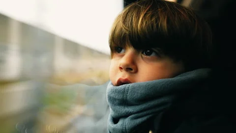 Thoughtful child staring at landscape pa... | Stock Video | Pond5