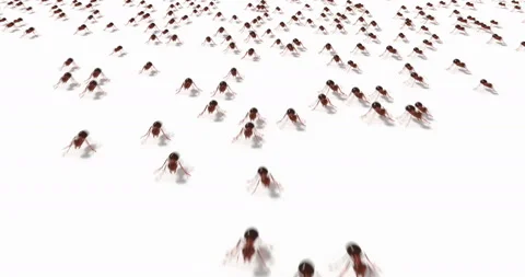 Thousands of ants marching, 3D animation... | Stock Video | Pond5