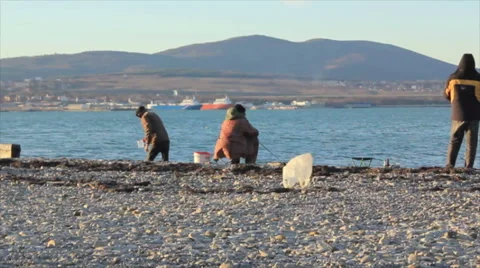 Thin Strip Stock Videos – Royalty-Free HD & 4K Videos | Pond5