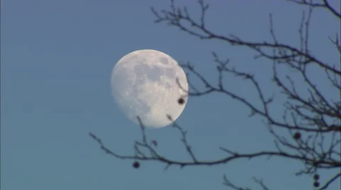 Skymoon Video Stock Videos – Royalty-Free HD & 4K Videos