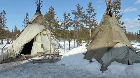 Lapp Stock Video Footage | Royalty Free Lapp Videos | Pond5