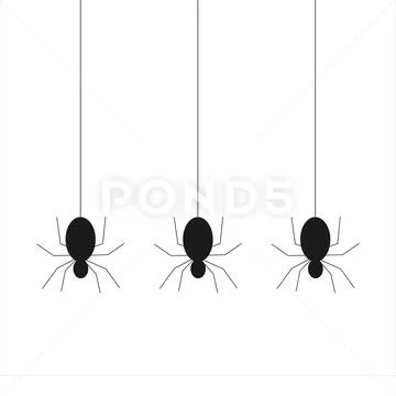 Three spiders hanging on a white background with copy space: Graphic ...