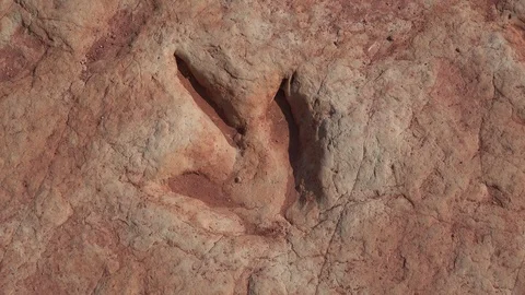 Three toed dinosaur footprint, Moenkopi ... | Stock Video | Pond5