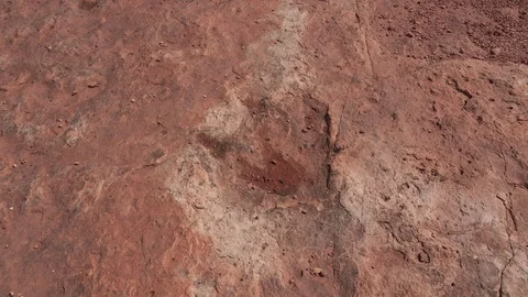 Dinosaur Footprint Stock Footage ~ Royalty Free Stock Videos | Pond5