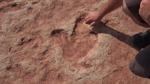 Tuba Stock Video Footage | Royalty Free Tuba Videos | Pond5