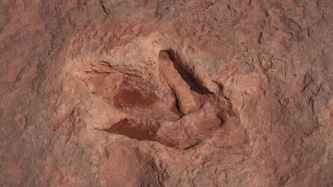 Dinosaur Tracks Stock Footage ~ Royalty Free Stock Videos | Pond5