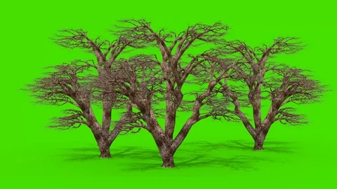 Three Trees Wind Green Screen 3D Renderi... | Stock Video | Pond5