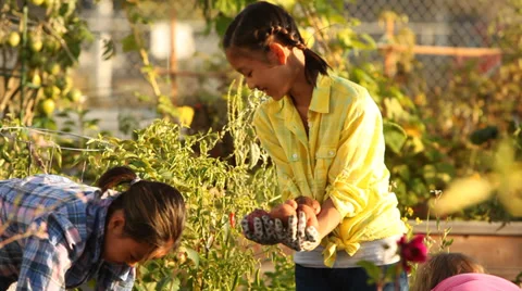 Three Girls Garden Stock Videos – Royalty-Free HD & 4K Videos