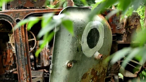 Whar Can You Stock Videos – Royalty-Free HD & 4K Videos