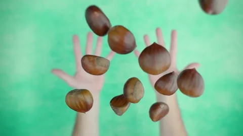 Throwing up handful pile of chestnuts ab... | Stock Video | Pond5