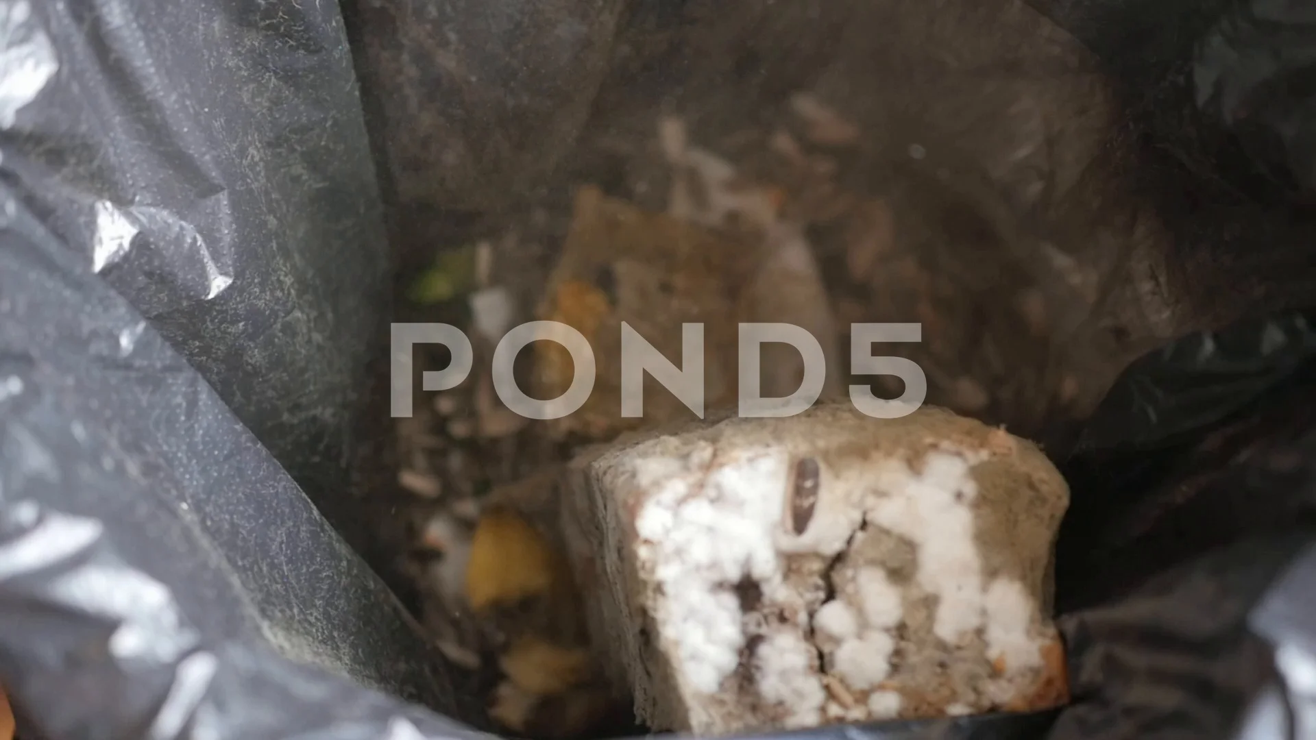 Garbage Of Moldy Food