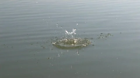 Throw Rock In Water Stock Footage ~ Royalty Free Stock Videos | Pond5