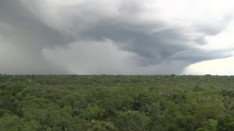Amazon Rainforest Storm Stock Videos – Royalty-Free HD & 4K Videos | Pond5
