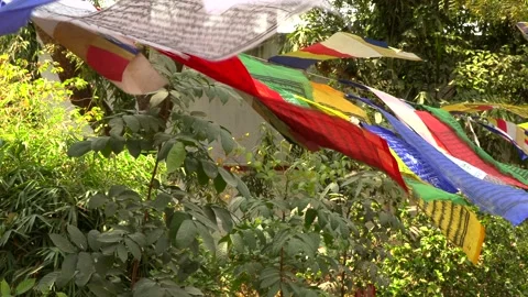Old Tibet Flag Stock Videos – Royalty-Free HD & 4K Videos | Page 5