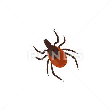 Tick encephalitis parasite insect icon or symbol vector illustration ...