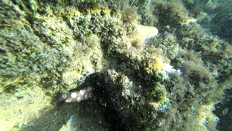 Tickling Stock Video Footage | Royalty Free Tickling Videos | Page 6