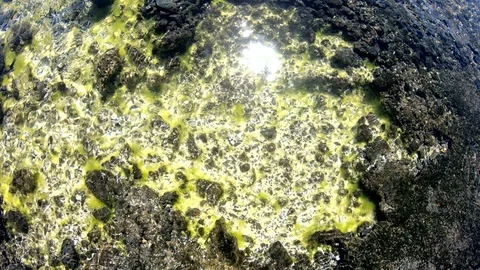 Surging Tides Stock Videos – Royalty-Free HD & 4K Videos