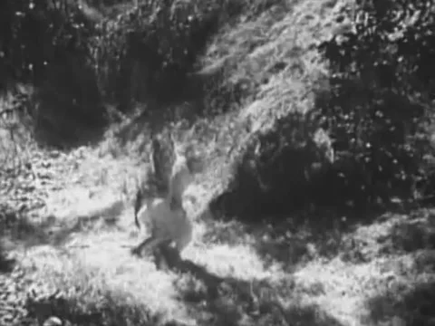 Man and Tiger Stock Video Footage | Royalty Free Man and Tiger Videos ...