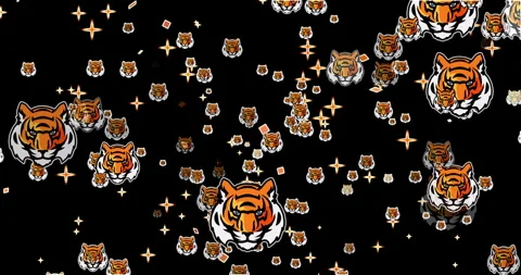 Tiger with a colorful star animated back... | Stock Video | Pond5