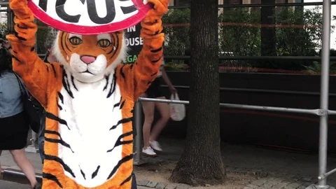 Political Animals Stock Videos – Royalty-Free HD & 4K Videos | Pond5