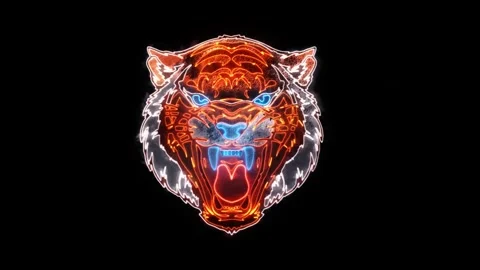 Tiger Head Animated Neon Logo with Revea... | Stock Video | Pond5