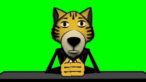 Tiger in suit behind desk looks ahead, g... | Stock Video | Pond5