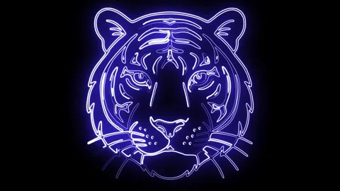 Path Thiger Stock Videos – Royalty-Free HD & 4K Videos