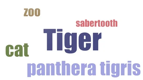 Tiger Word Cloud Animated Isolated On Wh... | Stock Video | Pond5