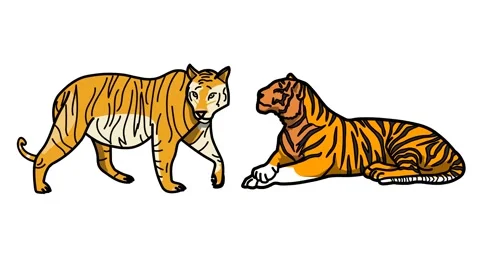 tigers Sketch and 2d animation | Stock Video | Pond5