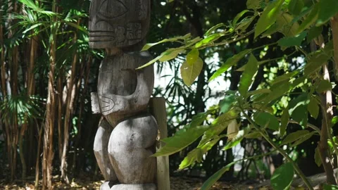 tiki in rainforest jungle side view | Stock Video | Pond5